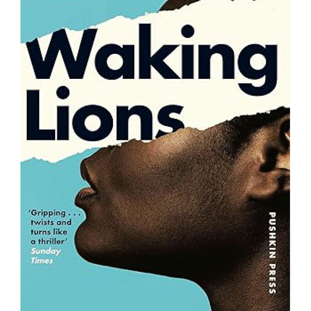 WAKING LIONS | סטימצקי