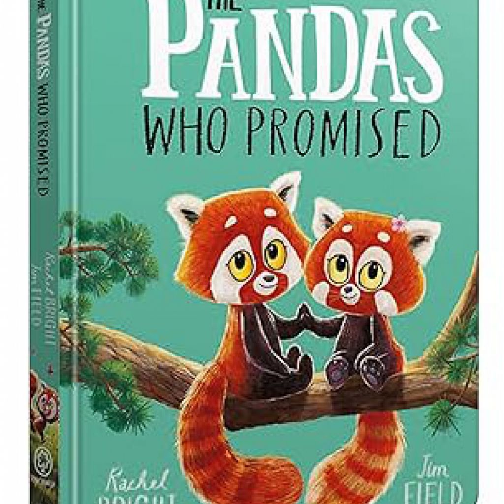 PANDAS WHO PROMISED | סטימצקי