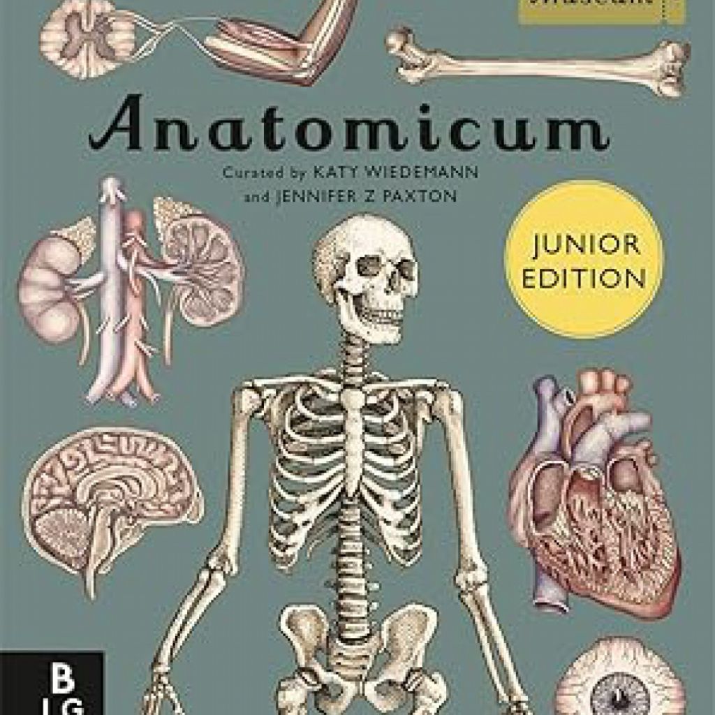 ANATOMICUM (JUNIOR EDITION) | סטימצקי