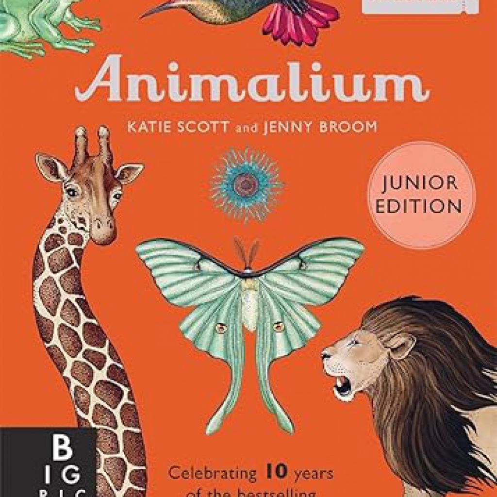 ANIMALIUM (JUNIOR EDITION) | סטימצקי