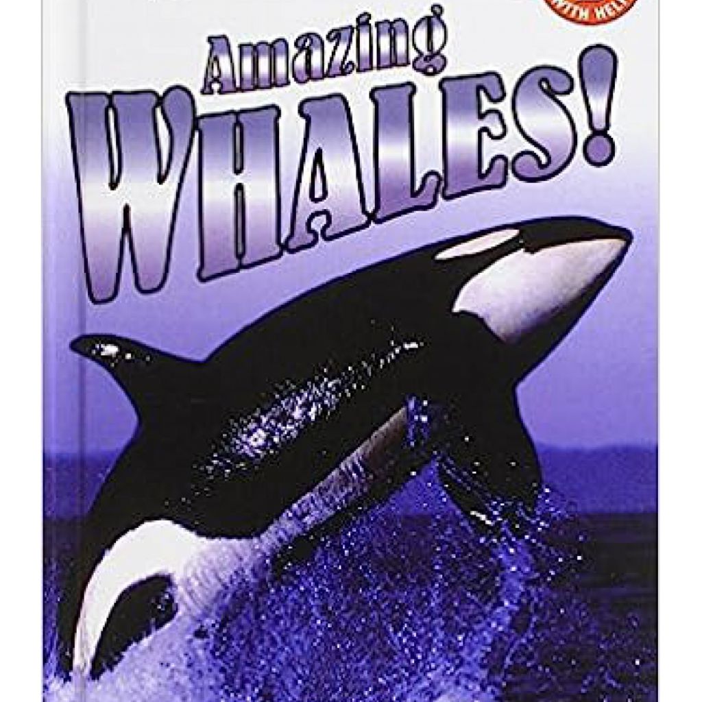 AMAZING WHALES! L2 | סטימצקי