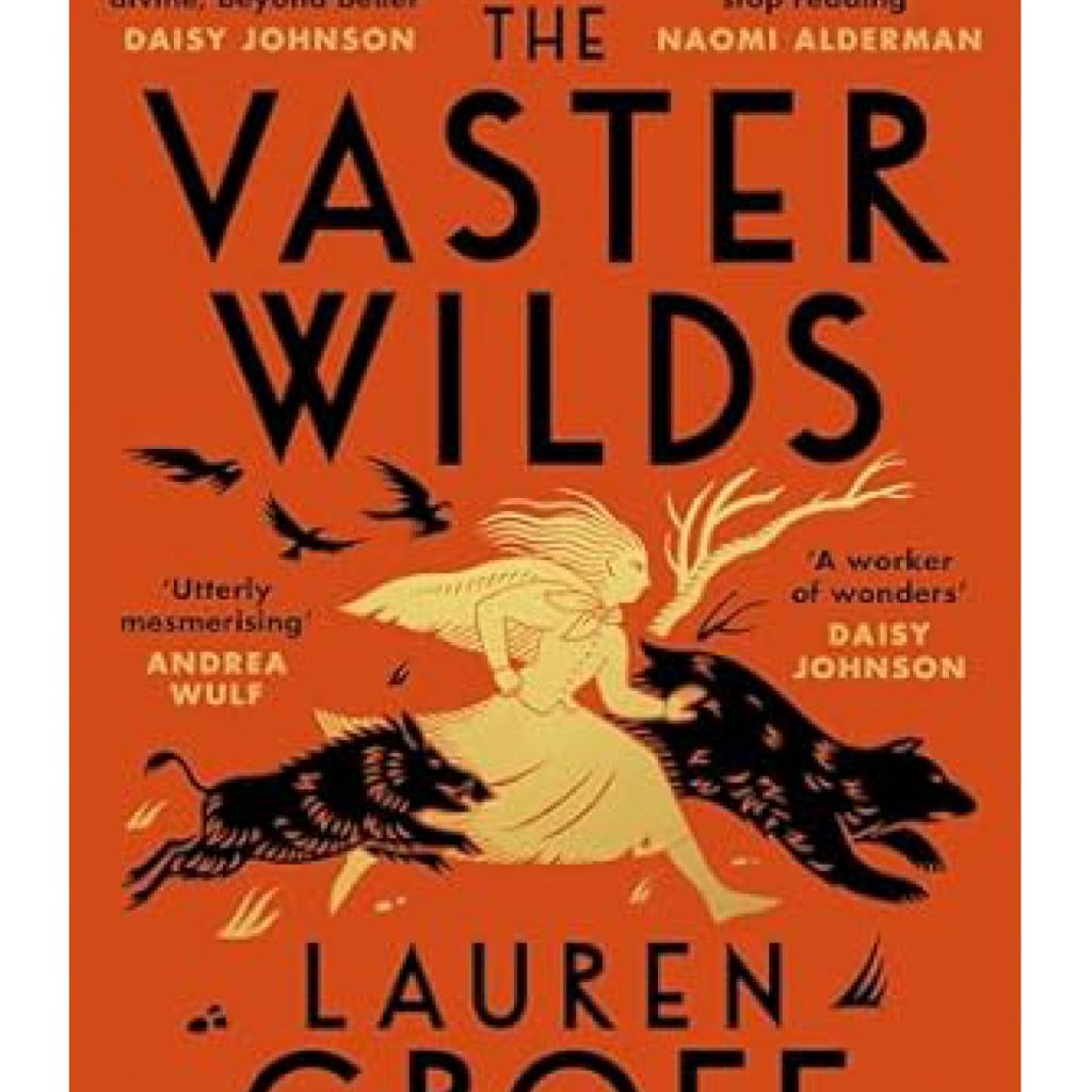 VASTER WILDS | סטימצקי