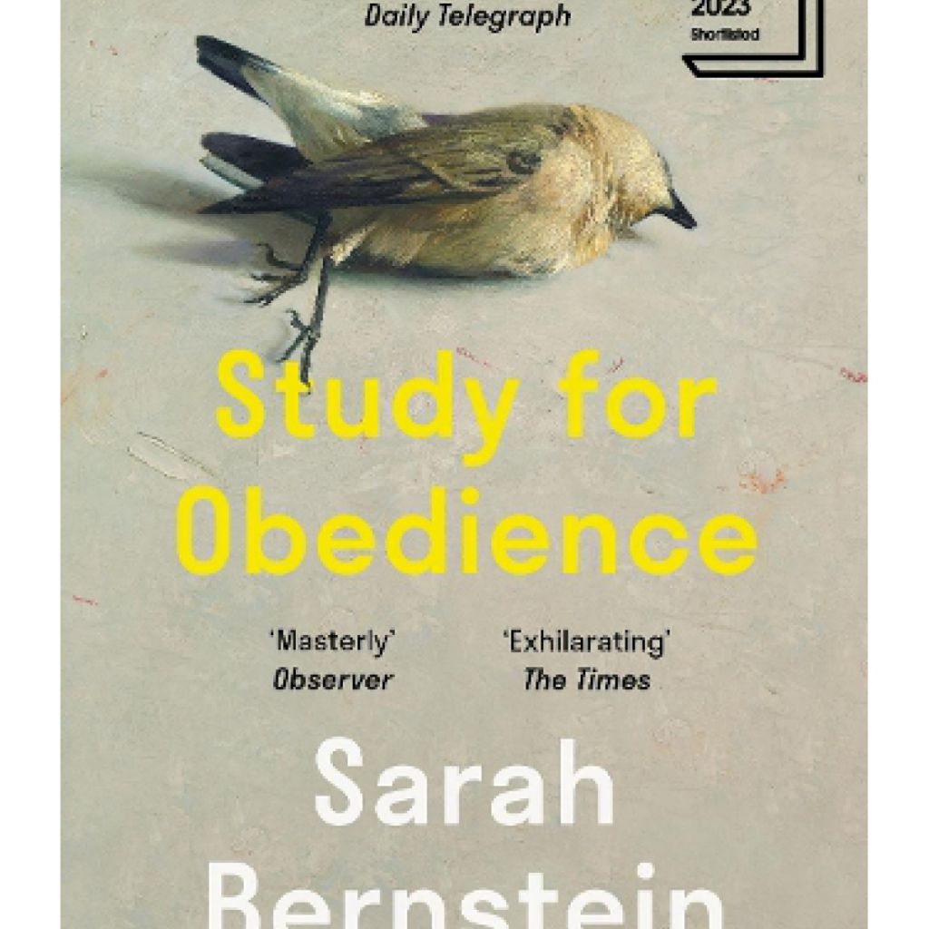 STUDY FOR OBEDIENCE | סטימצקי